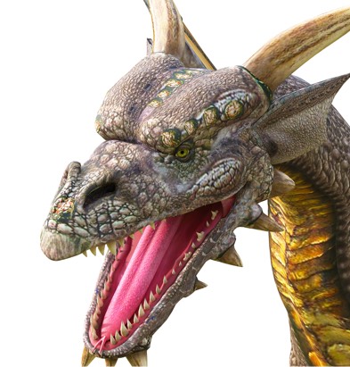 Meet the Drakons : Sue Tingey